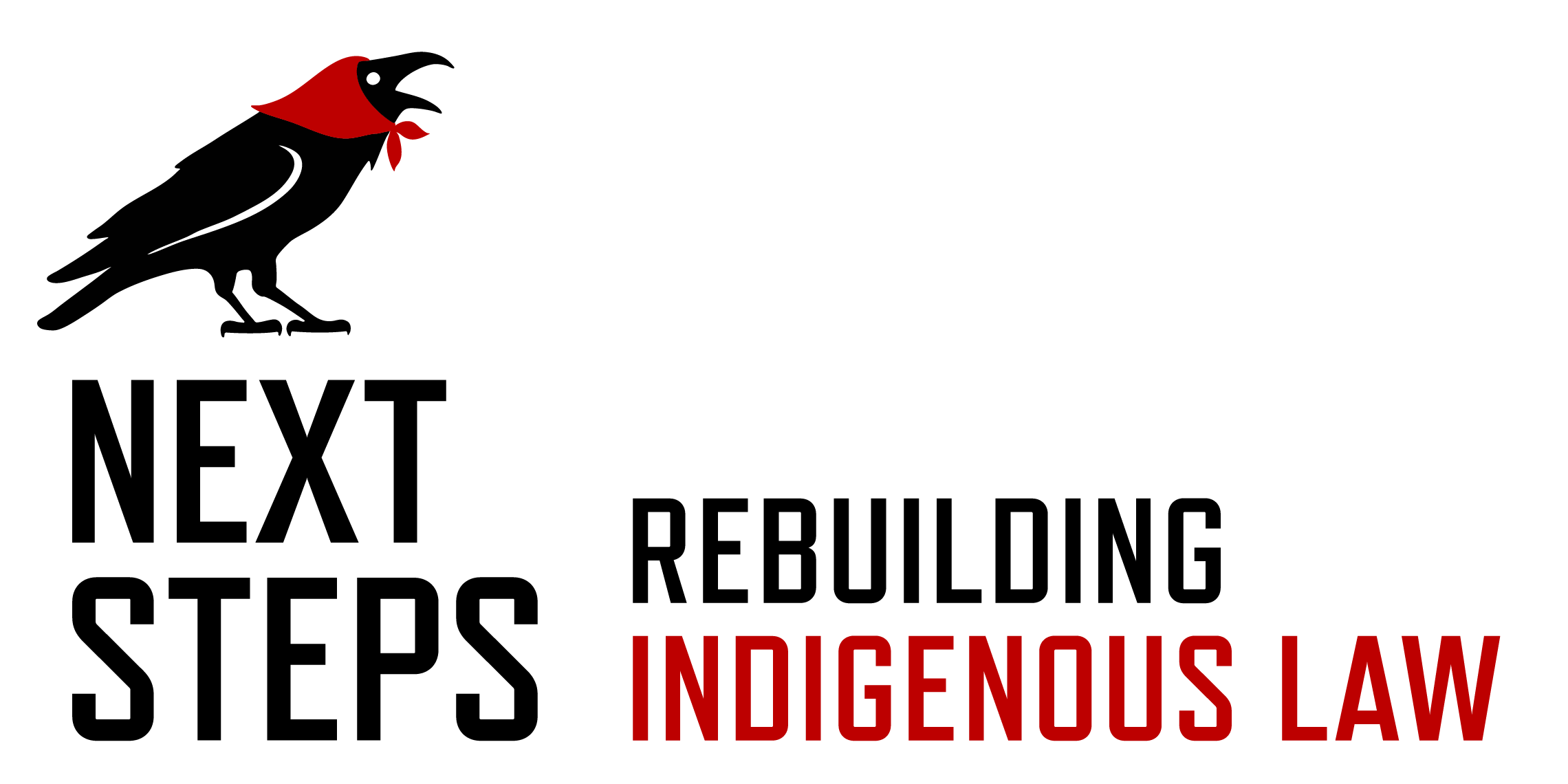 Meet the Team at Next Steps - Rebuilding Indigenous Law